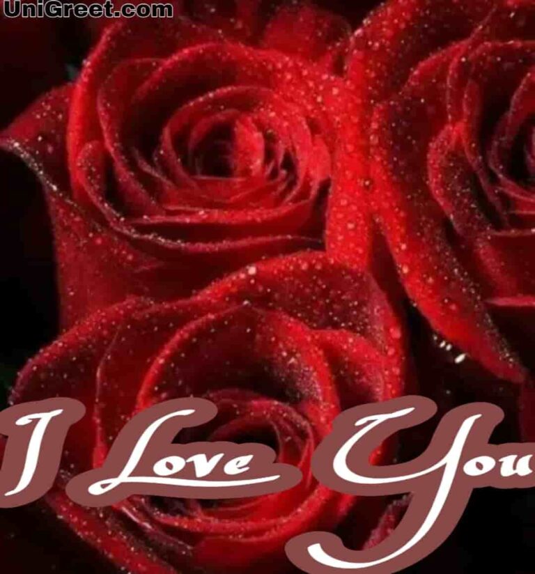 Top 55 Beautiful I Love You Roses Images, Photo, Pics, Wallpaper Download