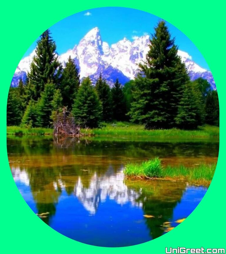 New Attractive Nature Images Pics For Whatsapp Dp Download { Eye ...