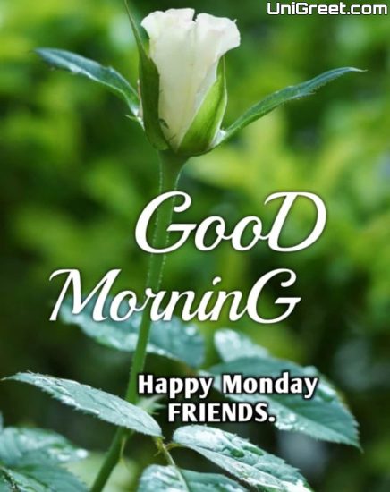 50 HD Good Morning Monday Images Quotes Photos For Whatsapp