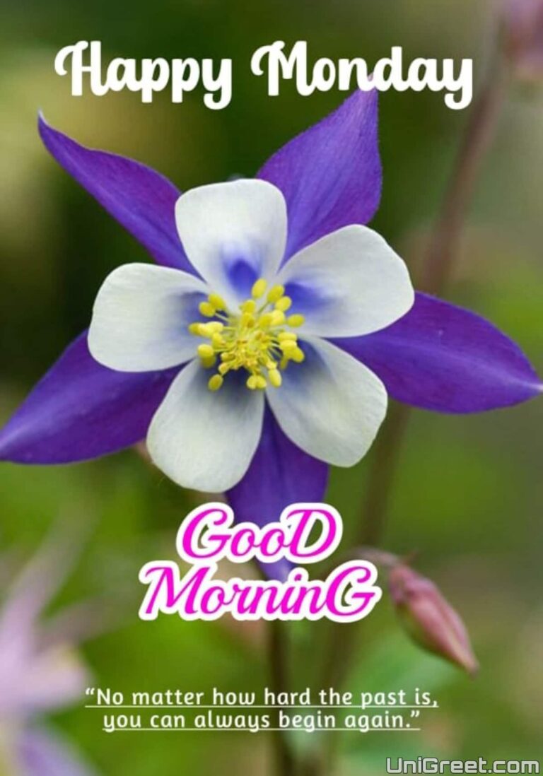 50 HD Good Morning Monday Images Quotes Photos For Whatsapp