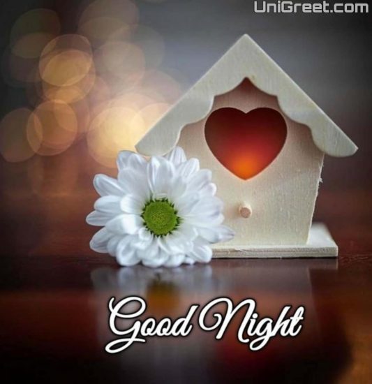 175 Beautiful Good Night Images, Pictures & Photos 2023